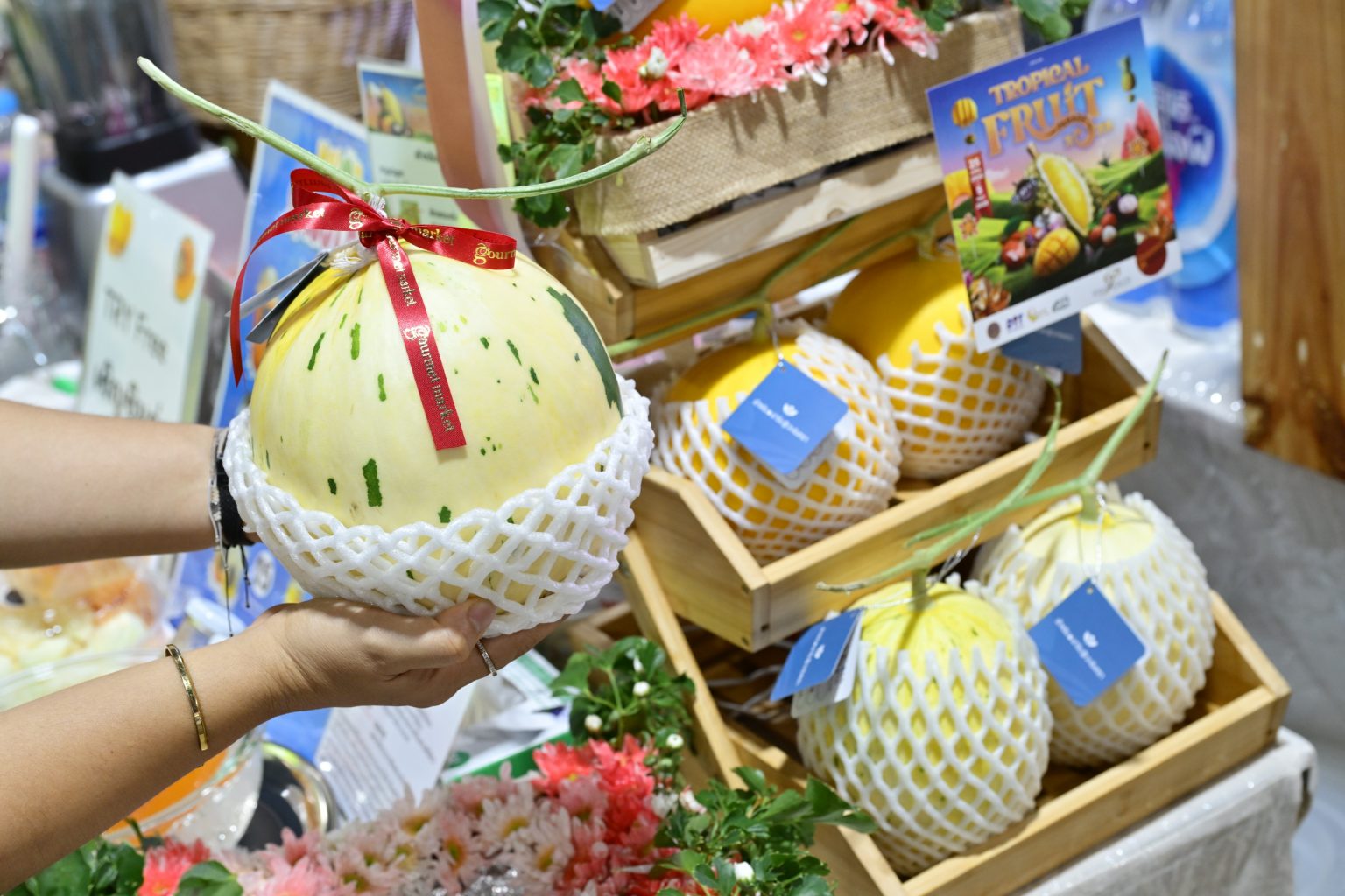 “SIAM PARAGON TROPICAL FRUIT PARADE 2025” ส่งตรงผลไม้คุณภาพดีจากผู้ผลิต ...