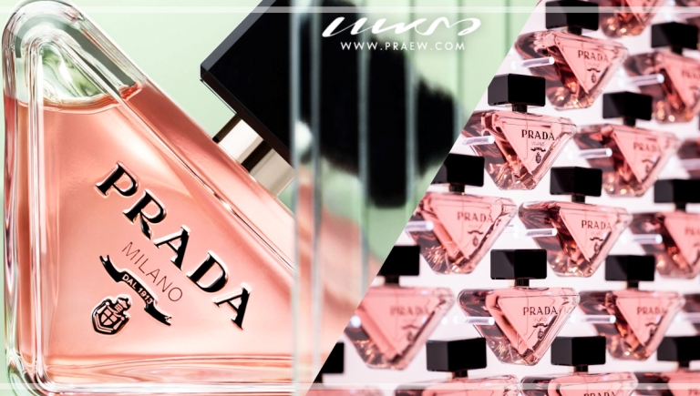 PRADA PARADOXE น้ำหอมผู้หญิงกลิ่นล่าสุดจาก PRADA BEAUTY หวานและเท่ใน ...